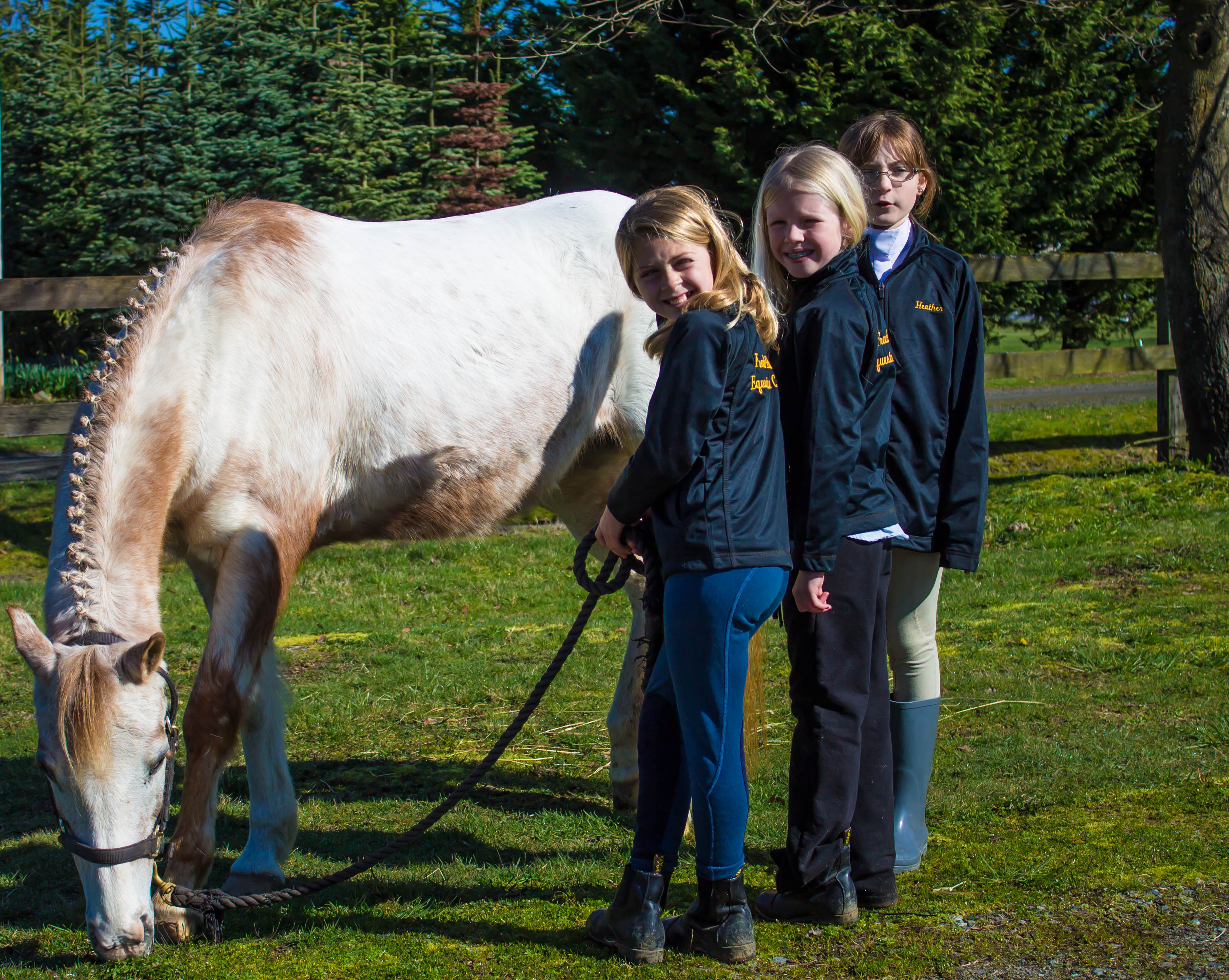 Horse parties – Freedom Run